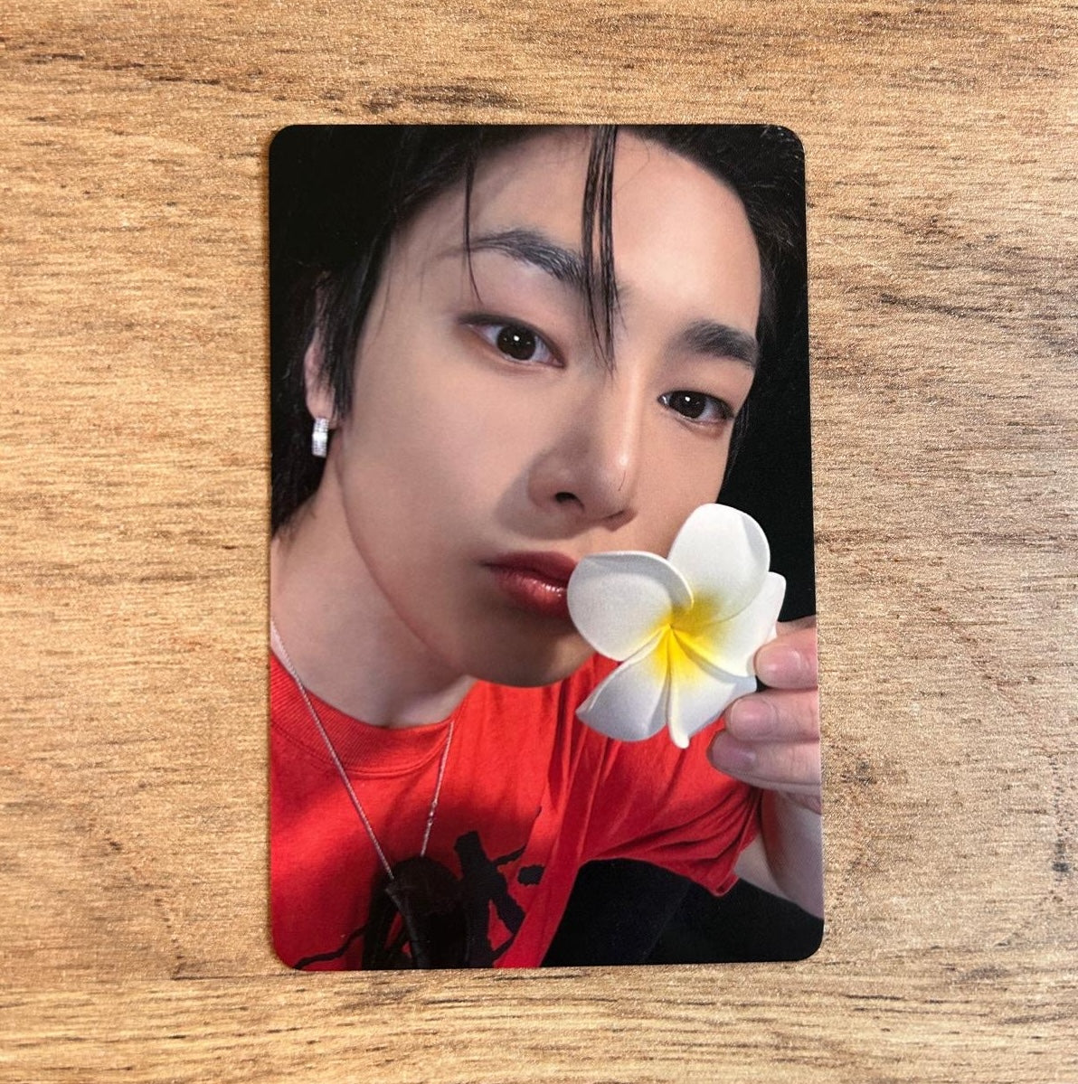 STRAY KIDS Karma Everline zvanične preorder fotokartice | KPOP.RS